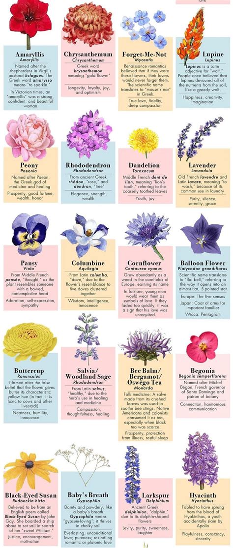 Pin By Floyd Gamboa On Flowers Flower Meanings Chart Flower Meanings