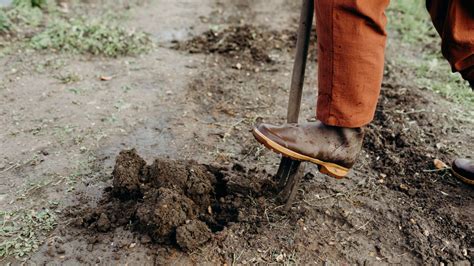 Back To Basics Planning Your Cut Flower Plot The Cut Flower Collective