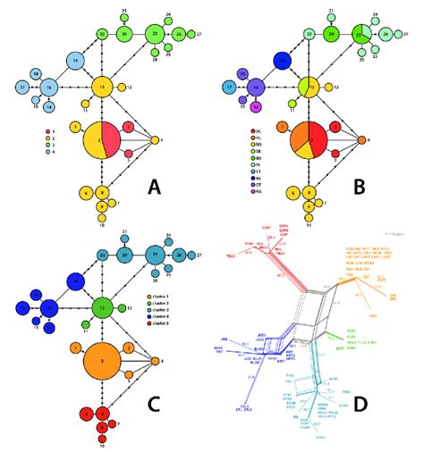 A C Minimum Spanning Networks Of Coi Haplotypes Color Coded For Each Download Scientific