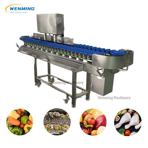Fruit Grading Machine Turntable Sorting Machine Fruit Weighing And Gra Wm Machinery