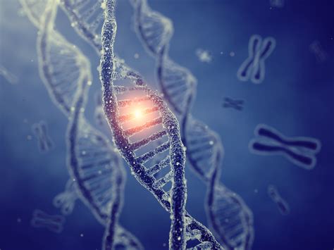 Scientists Unravel The Mystery Of What Regulates DNA Replication Earth Com