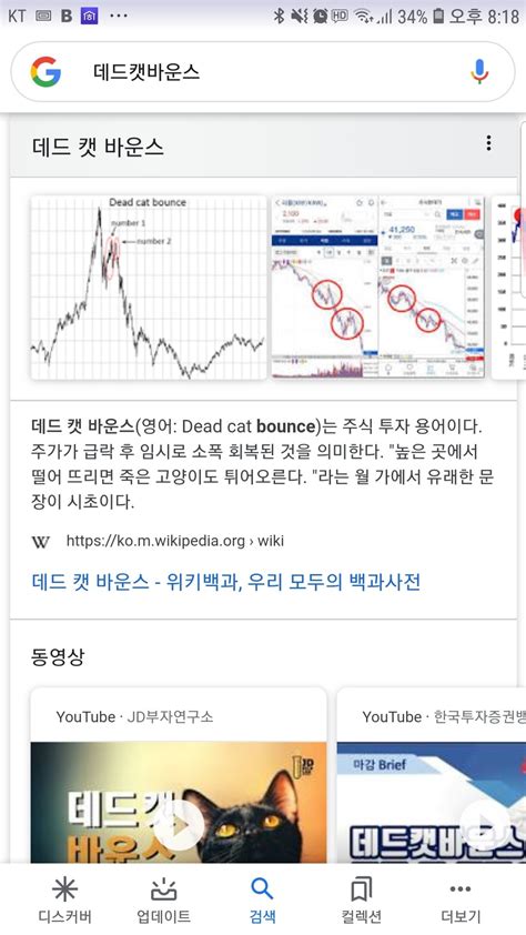 블라인드 주식·투자 데드캣바운스