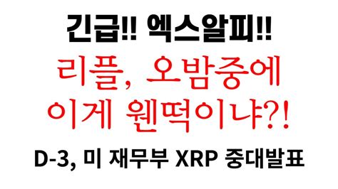 리플 미쳤습니다 리플 오밤중에 이게 웬떡이냐 대박입니다 D 3 미 재무부 Xrp 중대발표 엑스알피 무조건 올라요 엑스알피 리플코인 엑스알피전망 Youtube
