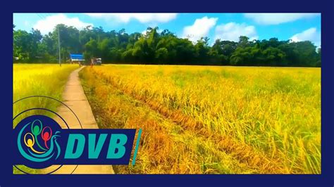 Dvb Digital နေ့လယ် ၁ နာရီ သတင်း ၆ ရက် ဇွန်လ ၂၀၂၃ Youtube