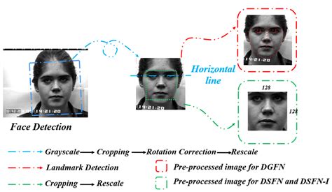 The Image Preprocessing For Three Models Proposed In Our Workdifferent Download Scientific
