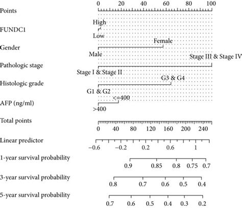 Fundc1 Nomogram Model And Roc Analysis A The Diagnostic Roc Curve Download Scientific
