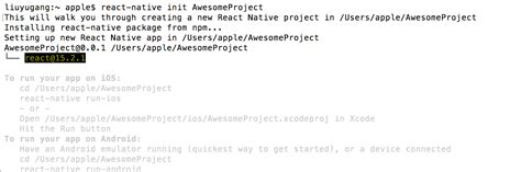 [react native混合开发]react native for ios之环境搭建 mac os cannot initialize new project because direc