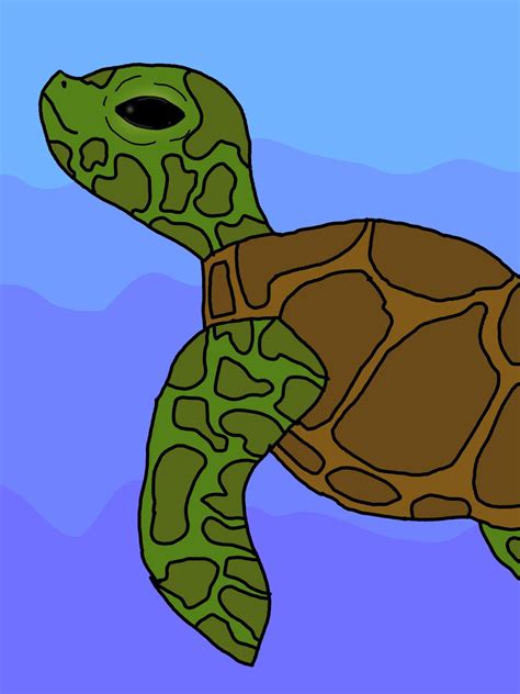 Chill Sea Turtle By Emmi2023 On Deviantart