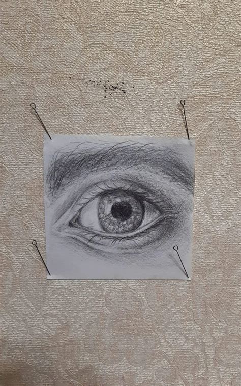 Глаз 🎨Рисование Amino