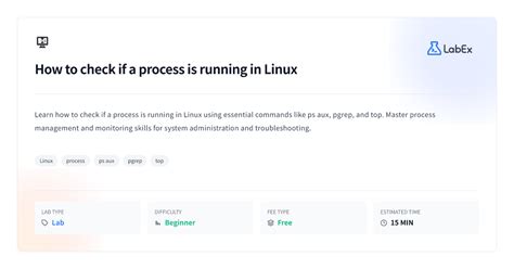 How To Check If A Process Is Running In Linux Labex