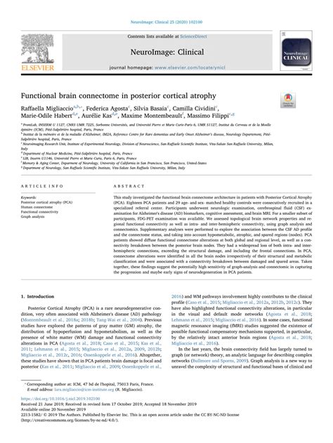 Pdf Functional Brain Connectome In Posterior Cortical Atrophy