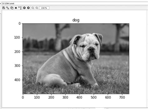 Pytorch Mengenal Arsitektur Lenet Untuk Klasifikasi Objek Softscients