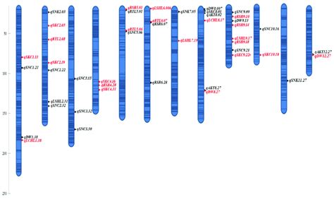Positions Of The Qtls On The Linkage Map For Alkalinity Tolerance