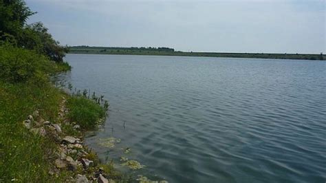 Агенцията за закрила на детето търси помощ от общините заради случаите на удавени деца Новини бг