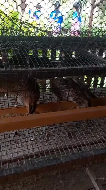 Zahra Taghadomi On Linkedin Practicalskills Teamwork Consciousness Learning