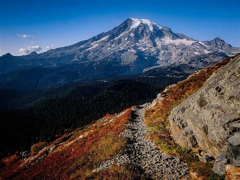 가을눈레이니어산워싱턴미국5k시사 가을눈레이니어산워싱턴미국5k시사