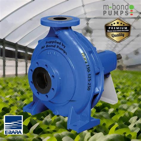 Ebara Pump Gs At Katina Woods Blog