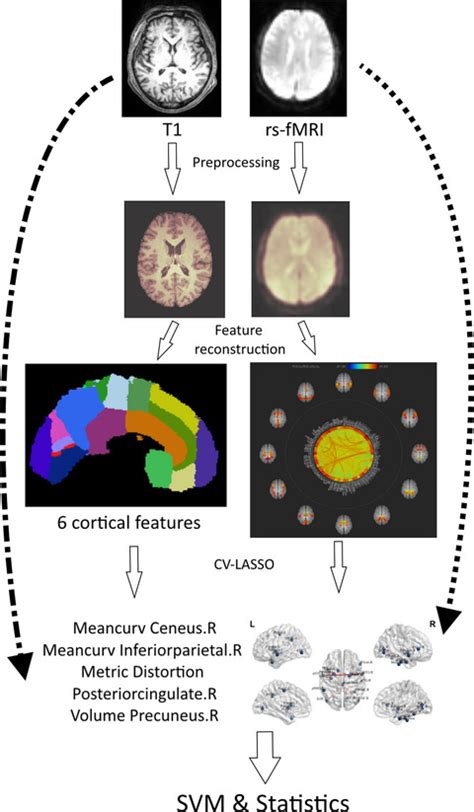 Baseline Structural And Functional Magnetic Resonance Imaging Predicts