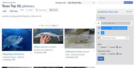 List Statistic Appears To Incorrectly Indicate Observed Species Bug