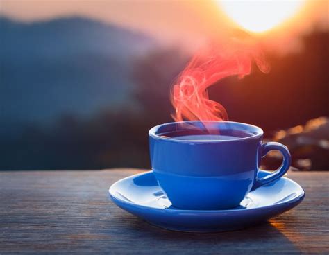 Java Java24 Openjdk Programming Softwaredevelopment Backend Fares Moalla