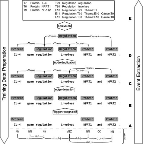 An Example Sentence From Shared Task Document 10069428 Simplified A Download Scientific