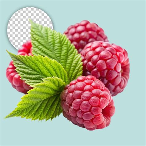 Raspberry Side View 0n Transparent Background Premium AI Generated PSD