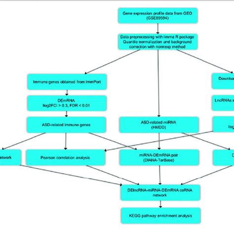 Flow Chart Of Bioinformatics Analysis Download Scientific Diagram