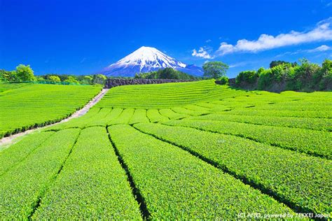 Zekkei Japan
