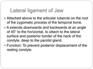Tmj Anatomy Tmj Anatomy Tmj Anatomy Tmj Pdf