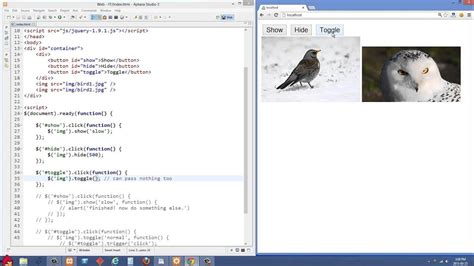 Beginner Jquery Tutorial 20 Showing And Hiding Elements Youtube