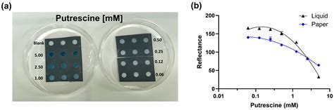 Colorimetric Paper Sensor For Food Spoilage Based On Biogenic Amine Monitoring