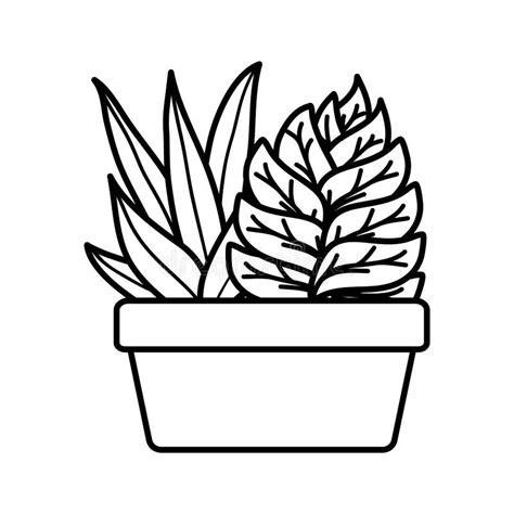 House Plant In Square Ceramic Pot Stock Vector Illustration Of Sprout
