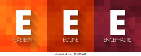 Eee Eastern Equine Encephalitis Rare Disease Stock Vector Royalty Free