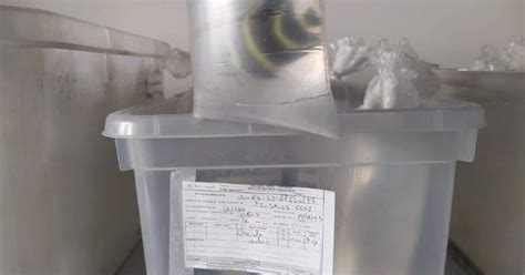 Recuperan Más De 100 Peces Que Eran Transportados Ilegalmente En La Terminal El Salitre De