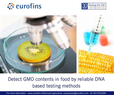 Gmo Analysis And Testing In India Eurofins Scientific