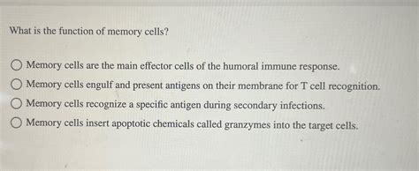 Solved What Is The Function Of Memory Cells Memory Cells Are Chegg