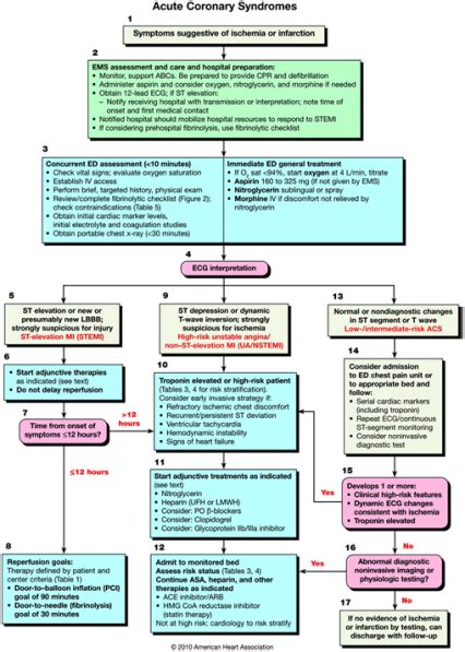 Acs Guidelines Askep Patoflow Dan Jurnal Keperawatan