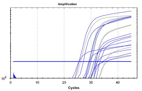 A Qpcr Amplification Plot Showing Successful Amplification Of Malaria Download Scientific