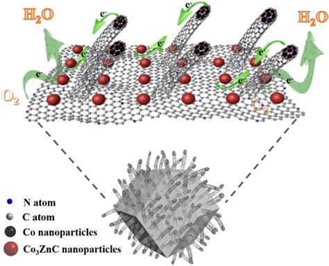 Interfacial Engineering Of Bimetallic Carbide And Cobalt Encapsulated