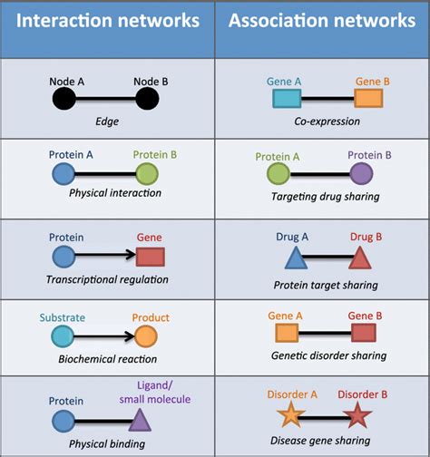 Interaction Networks Left Represent Direct Interactions Between