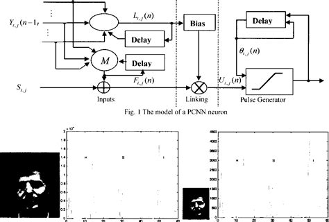 Figure 2 From Color Face Detectionbasedonpcnn Time Signature Semantic