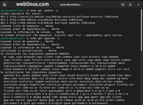 Instalar Python 3 11 1 En Debian 11 Y Derivados Weblinus