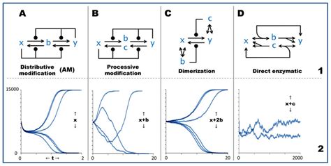 Nonlinearity In Switching Systems We Compare The Nonlinear Dynamics Of