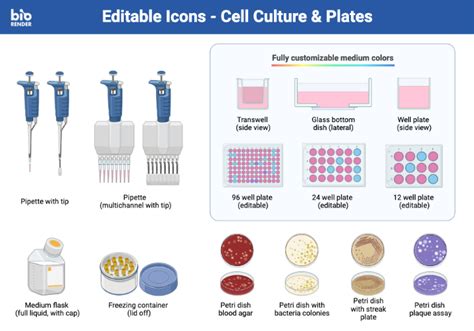 Cell Culture Plate Template At Cindy Larson Blog