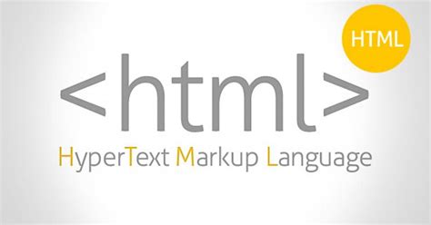 Comè Strutturata Una Pagina Html Xodus New Media