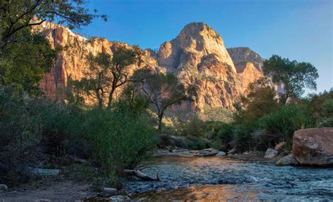 Supporting Staff The Isabels Light Employee Wellness Fund Zion