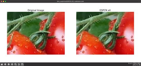 【python・opencv】超解像で画像を鮮明に！dnnsuperres Codevace