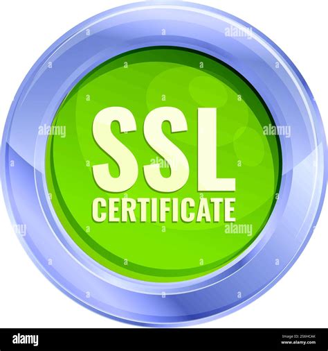 Private Ssl Certificate Icon Cartoon Of Private Ssl Certificate Vector Icon For Web Design