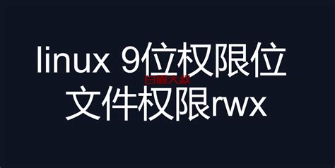 linux 位权限位 文件权限rwx 白眉大叔