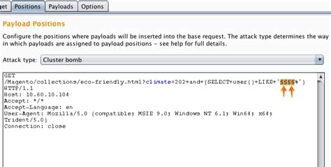 Using Burp Suite To Audit And Exploit An Ecommerce Application Blog Portswigger